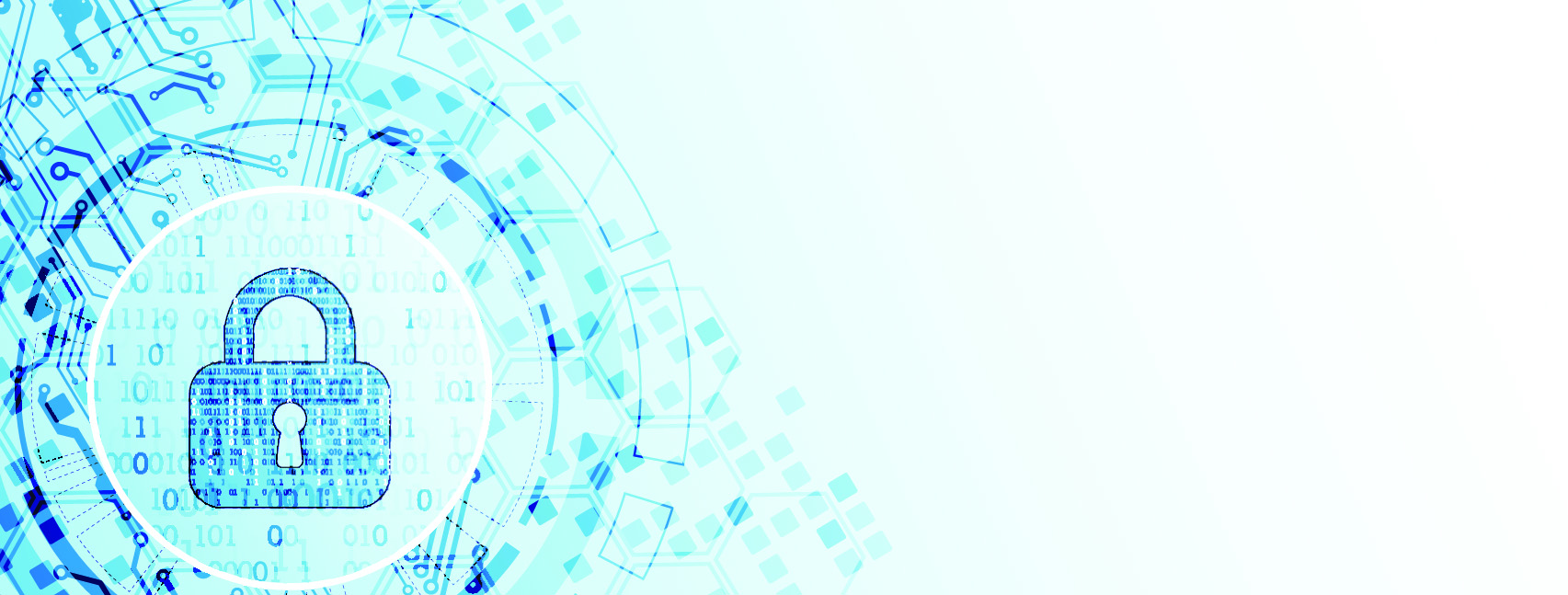 The continuously evolving data privacy landscape | Corona Insights